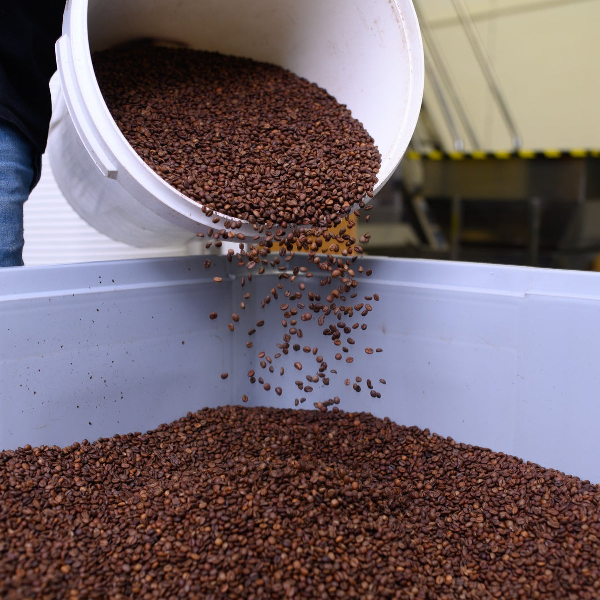 Kafijas pupiņas – AURON COFFEE ROASTERY